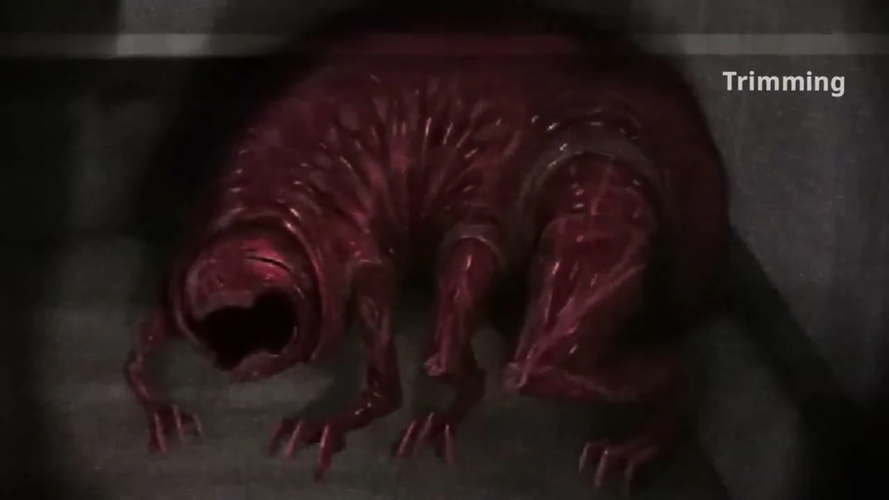 Phase 43 (Bloodycrazyman) Origin Is Here | Fandom