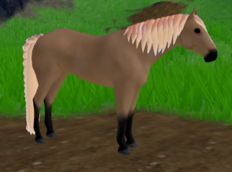 Proper introduction! | Fandom