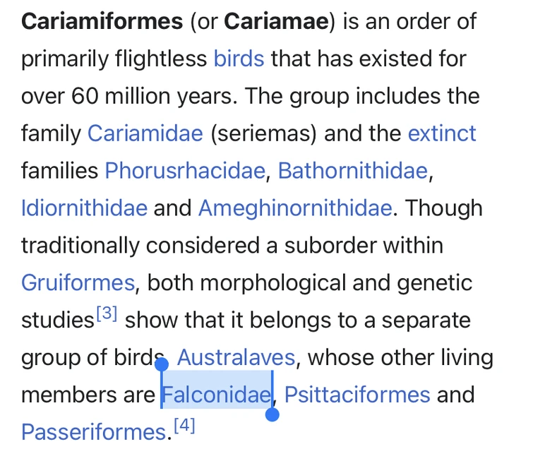 What is the earliest known falcon ? and the evolution of avian raptors ...