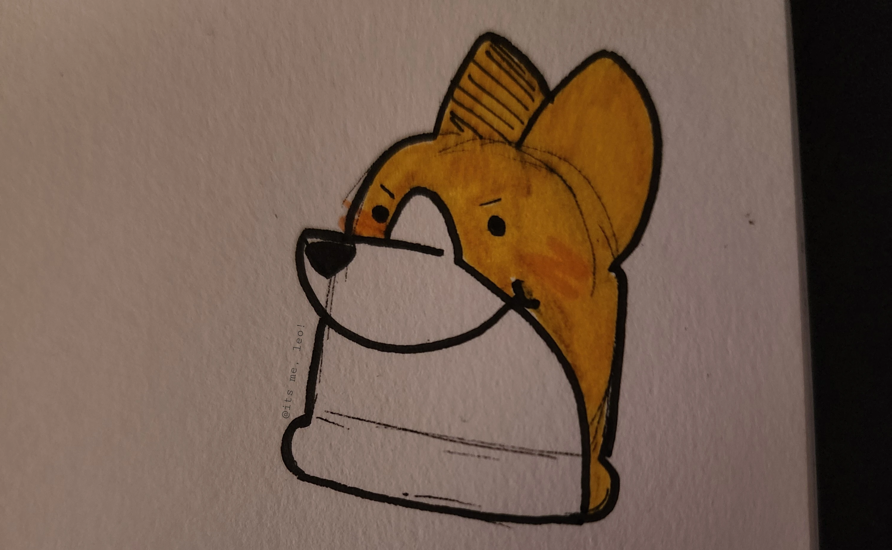 Captain garbage | Fandom