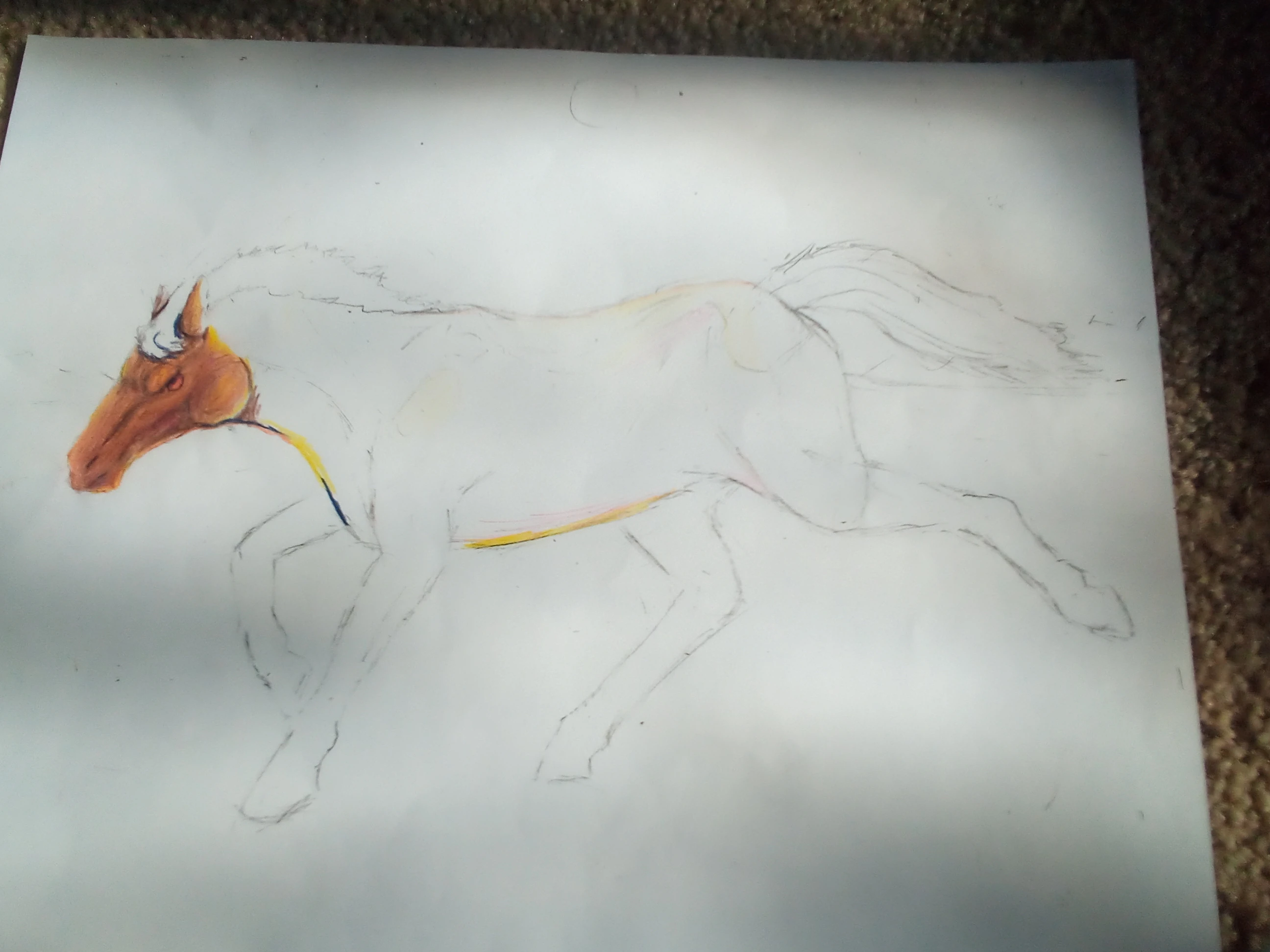Horse wip! (Off-topic art wip) | Fandom