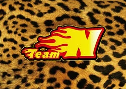 NMB48 Team N | 48group Wiki | Fandom