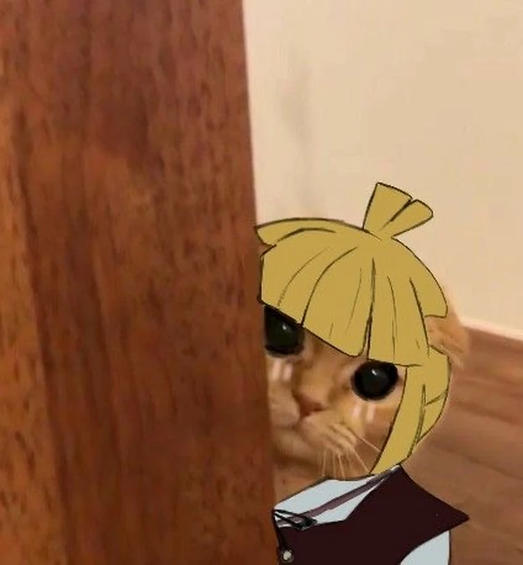 bro my step-mom is so freaking cool so imma flex | Fandom