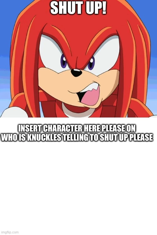 Which character is Knuckles telling to shut up? Wrong answers only | Fandom