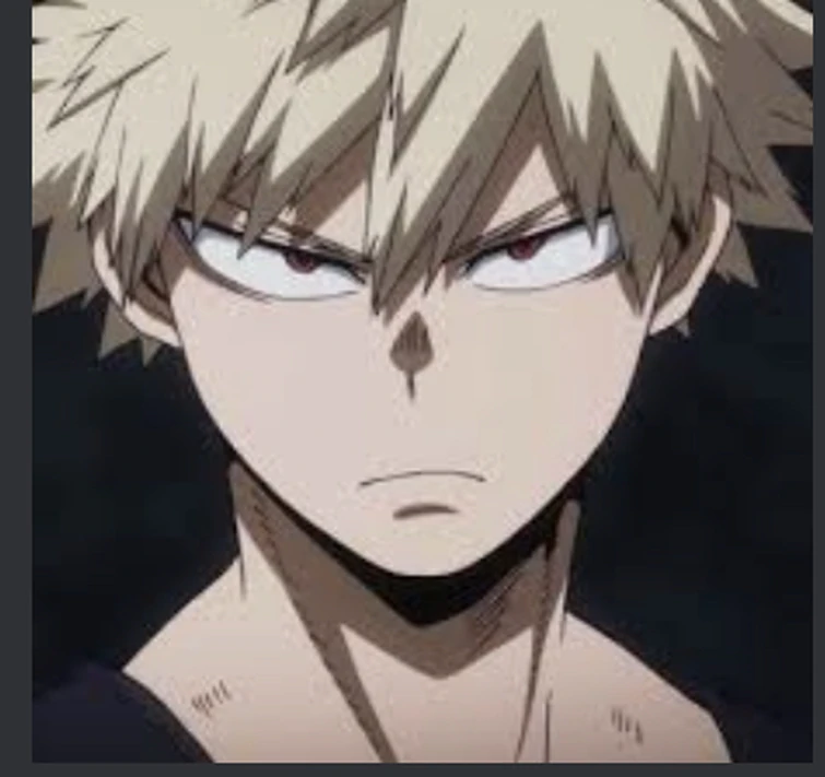 Can we just appreciate Bakugos beauty 🤌 | Fandom