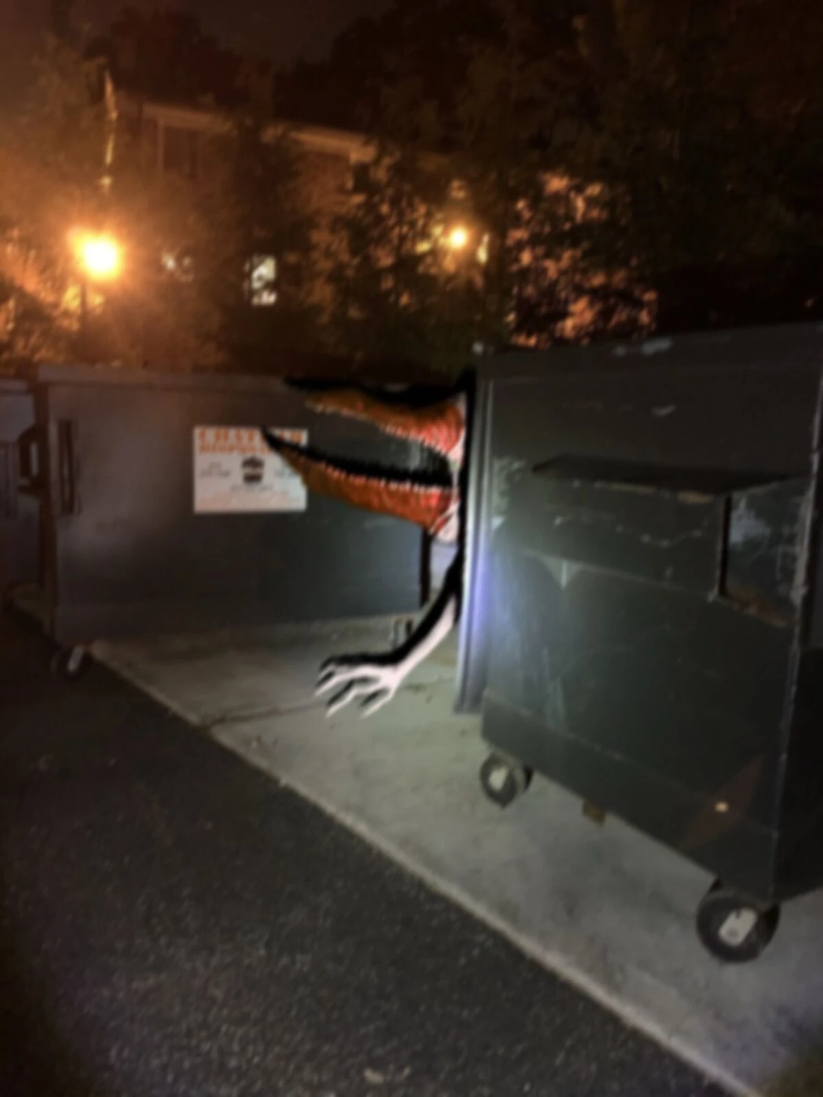 Decided to attempt to fix “Dumpster Boy”’s article | Fandom