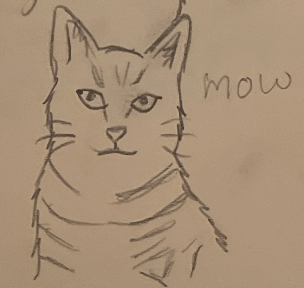 Anyone awake rn? | Fandom