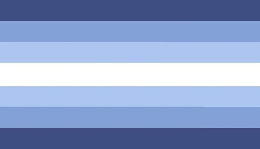 Orientation and flag coining | Fandom