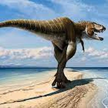 Discuss Everything About Dinopedia | Fandom