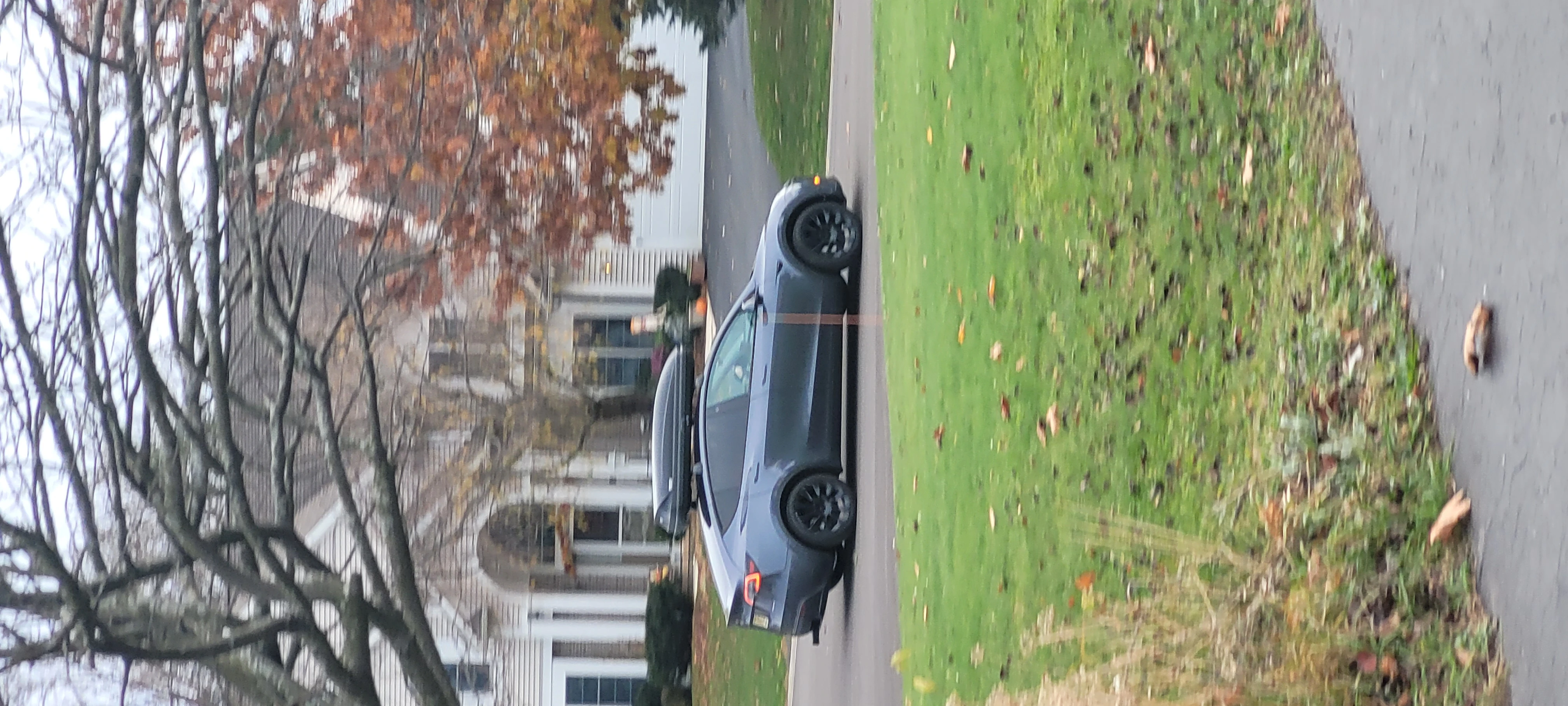 Celestial Type-6 Ivy Edition | Fandom