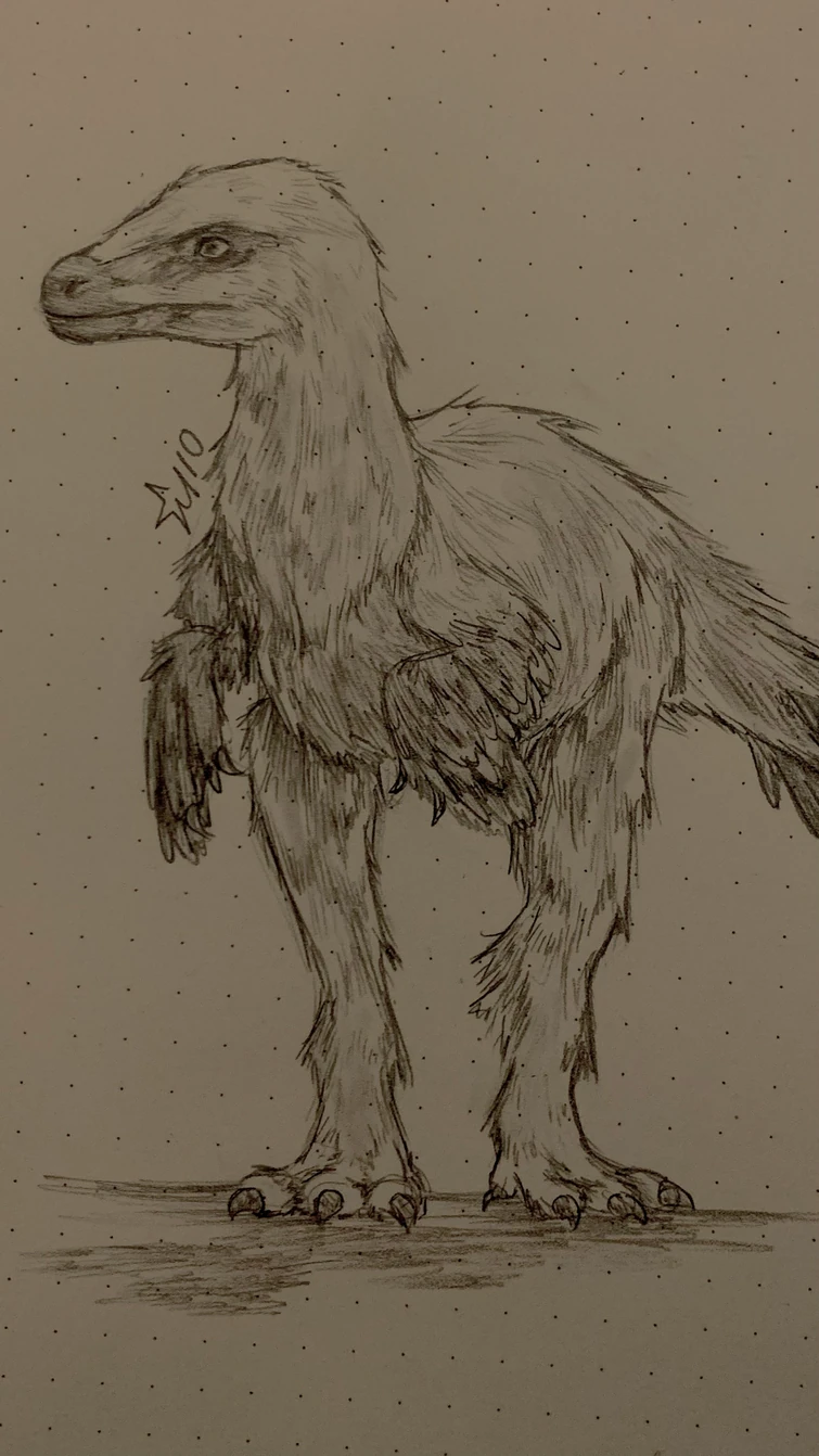 I do commissions. | Fandom