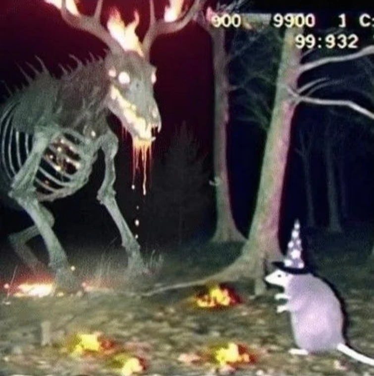 What would you do in this situation? | Fandom