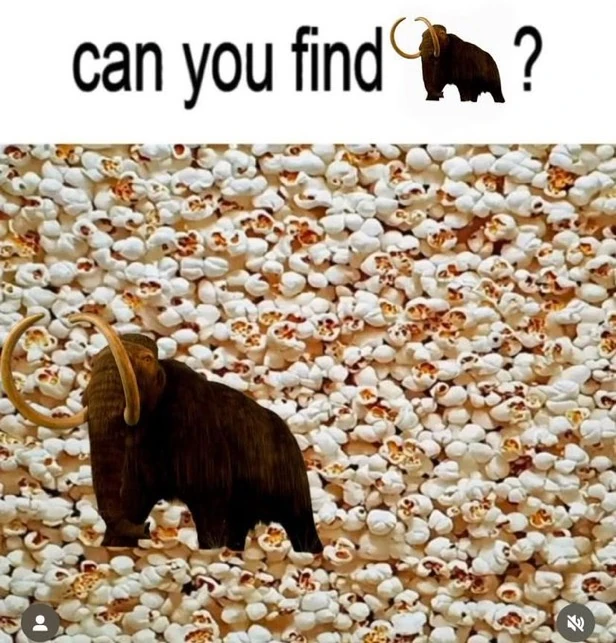 Can you find woolly mammoth? | Fandom