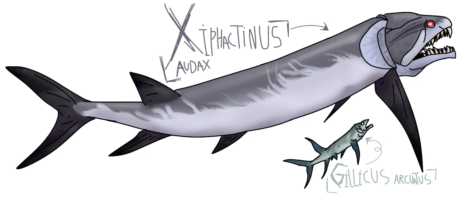 xiphactinus & gillicus art :D | Fandom