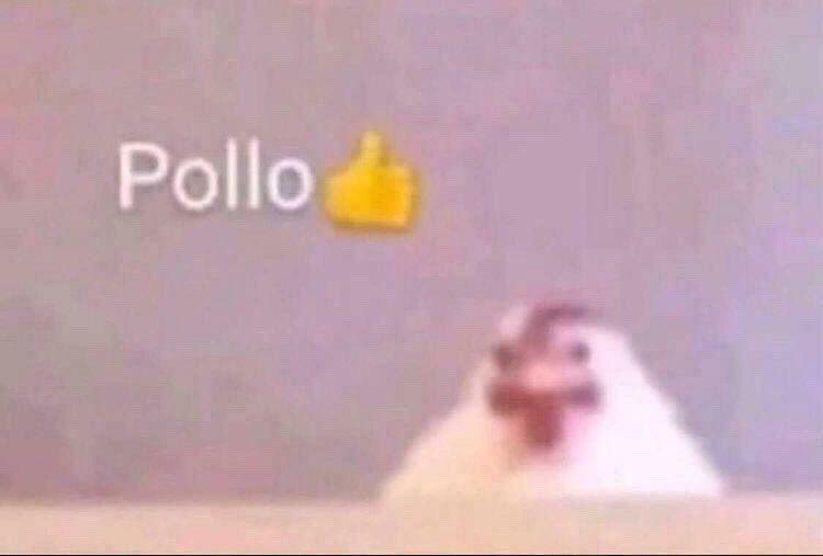 Pollo👍 | Fandom