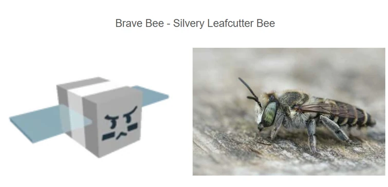 BSS Bees and their irl counterparts! Rares :) | Fandom