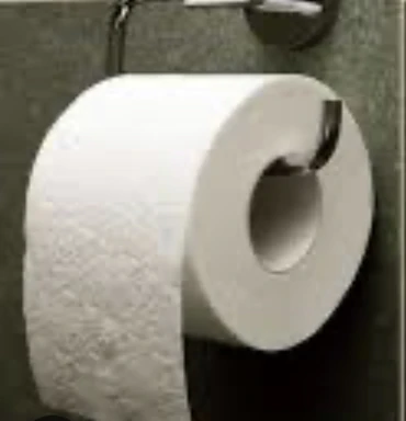 Which way is the correct way to put toilet paper? | Fandom