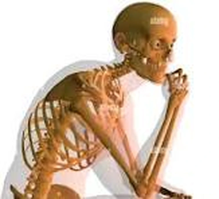 should we make a skele-gang | Fandom