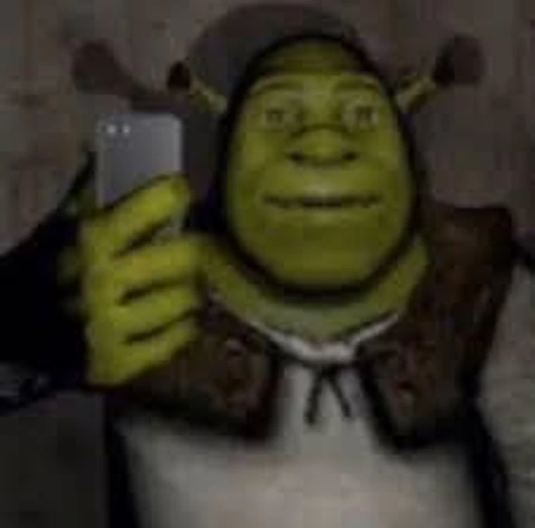 I accidentally summoned Shrek | Fandom