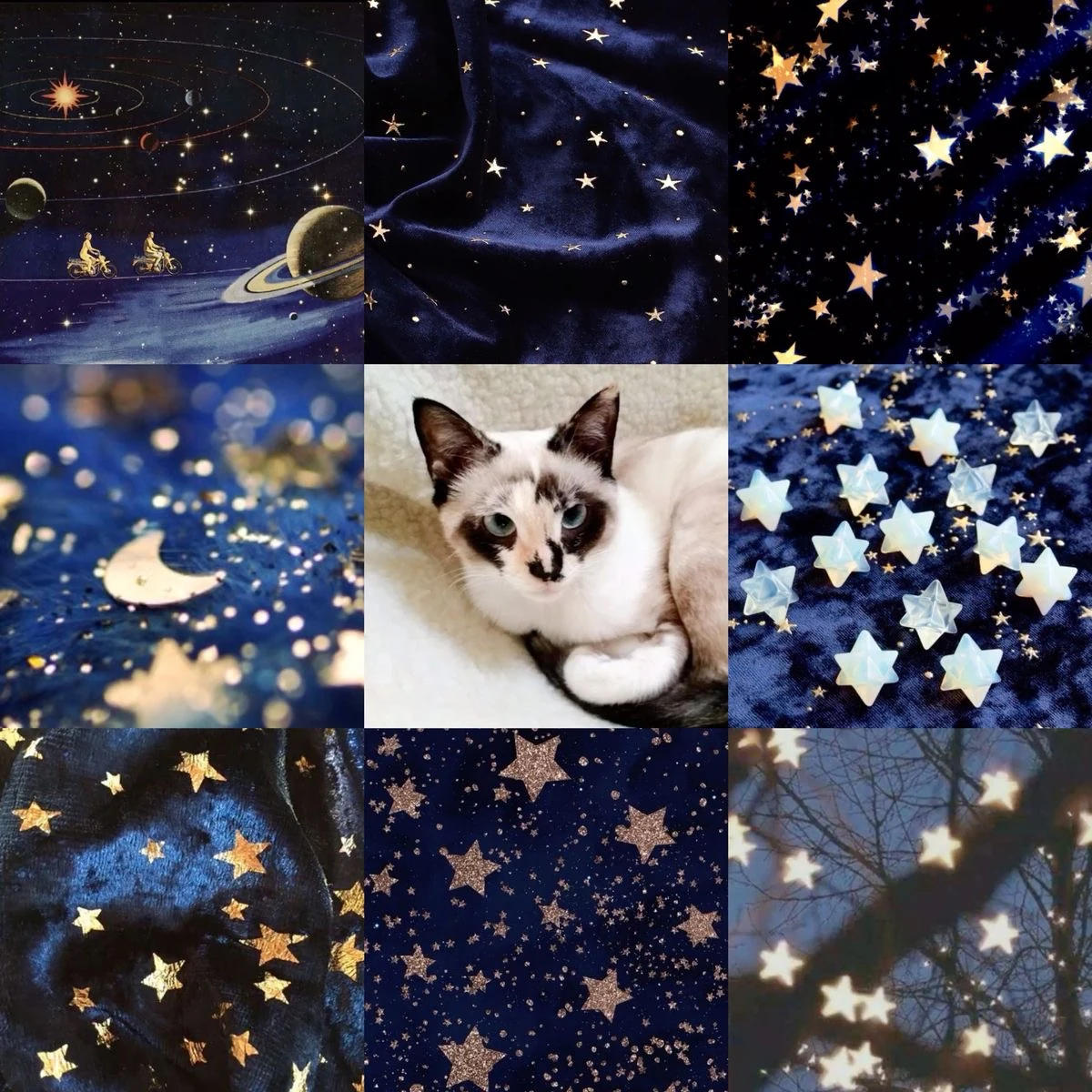 Lf a skin com! | Fandom