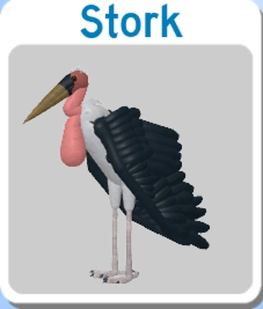 Discuss Everything About Feather Family Wiki | Fandom