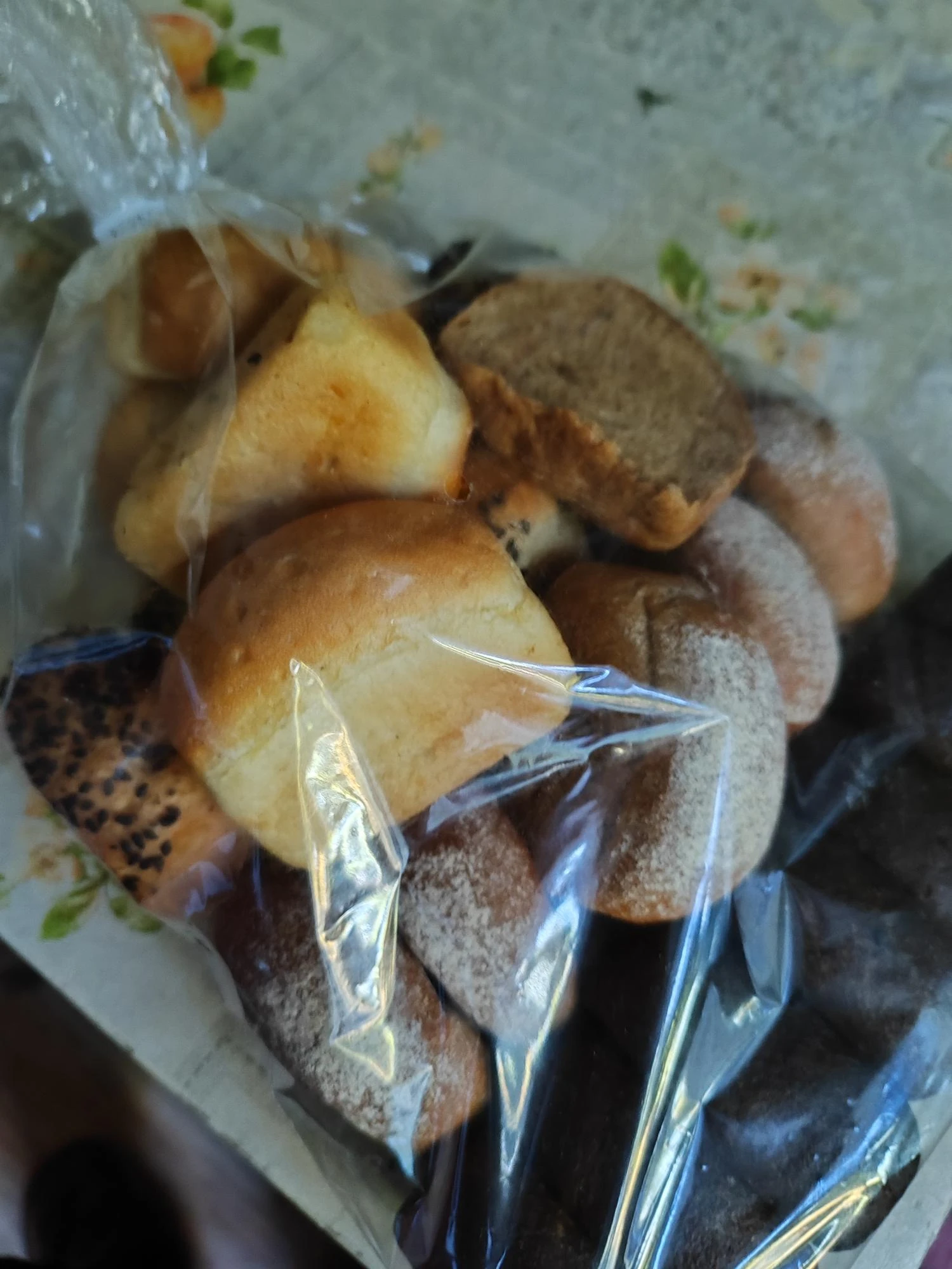 Harvitius eggs real | Fandom