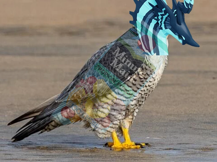 rate Arista | Fandom