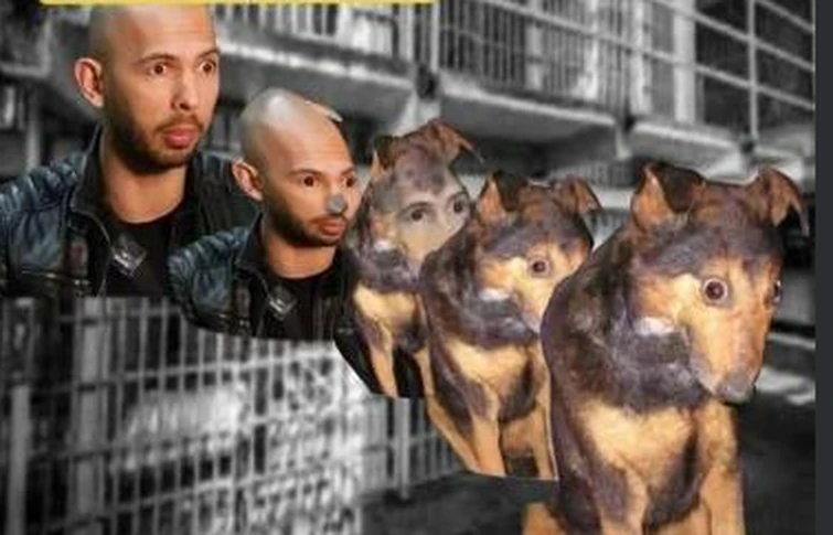 Java Minecraft server on now! Here are the rules. | Fandom