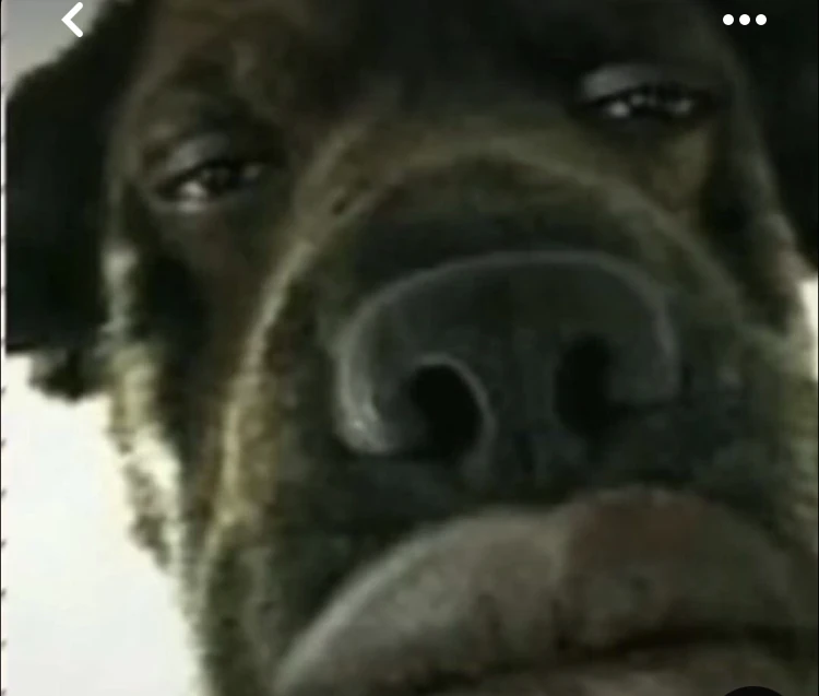 Ohio Rizz Gyatt 🔥🔥 | Fandom