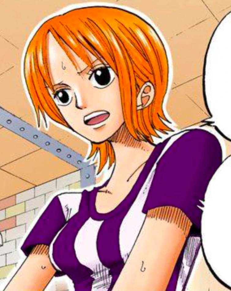 (Cat Burgler) The PTS Nami Experience | Fandom