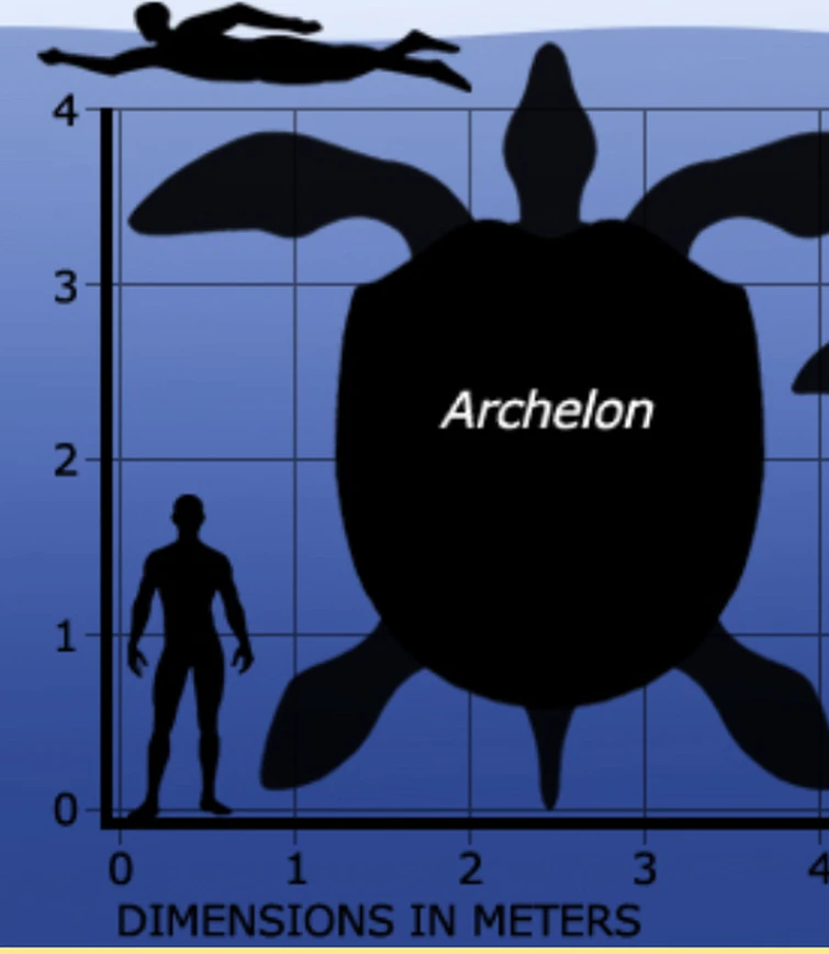 Who Would Win? (Takes Place On A Shore) | Fandom