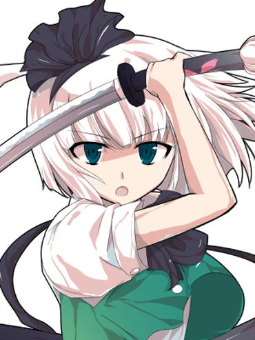 Po (Kung Fu Panda) runs the Touhou Gauntlet, Can he clear? | Fandom