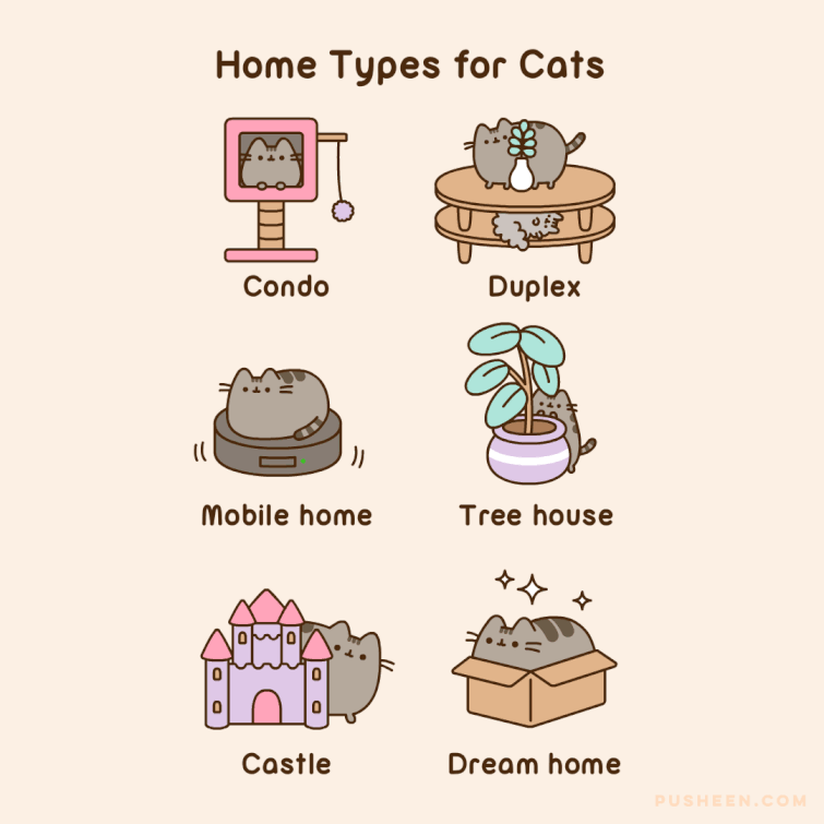 Discuss Everything About Pusheenthecat Wiki | Fandom