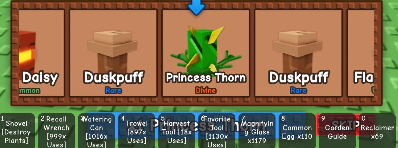 HELP I JUST GOT PRINCESS THORN RIGHT AFTER I GOT CYCLAMEN | Fandom