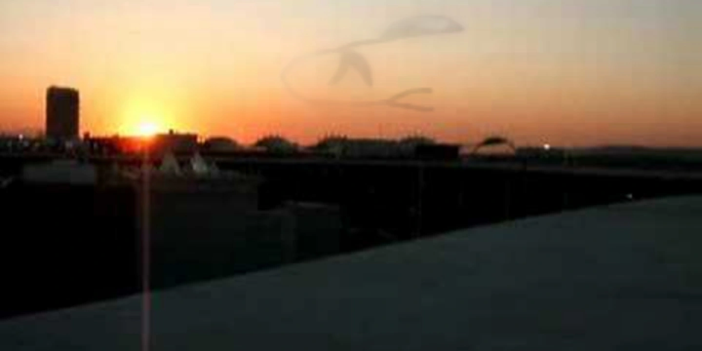 Flying wanderer | Fandom