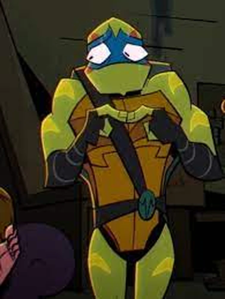 Give me unedited ROTTMNT pics | Fandom