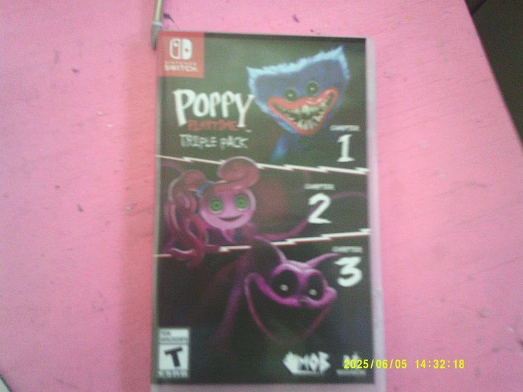 i got the thing SKIBIDI RIZZ SLAY QUEEN | Fandom