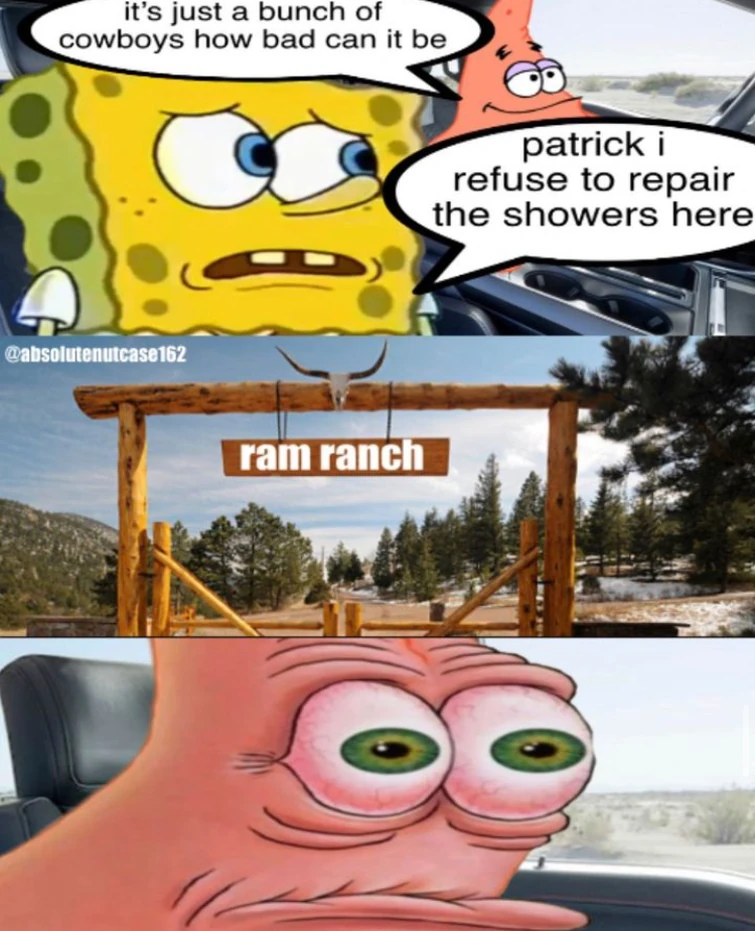 Absolutenutcase memes | Fandom