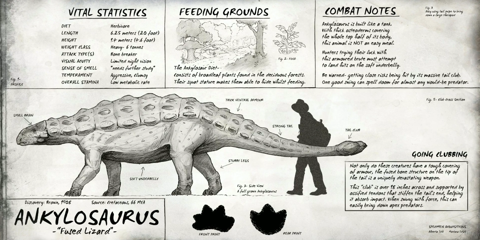Ankylosaurus from the isle | Fandom