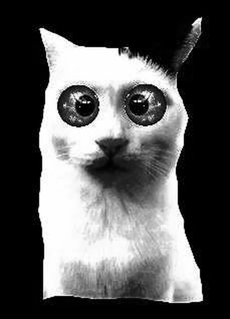 i tried recreating the creature in the funny maze floor (not the one on ...