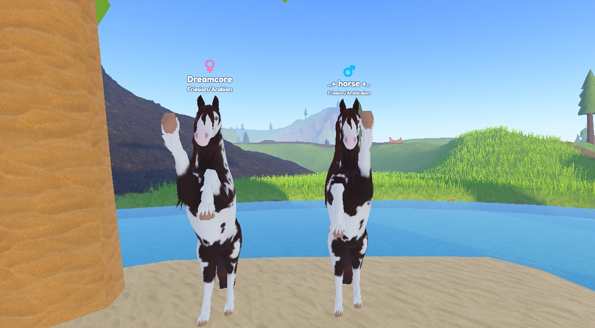 Photoshoot w/ @Hashira horse | Fandom