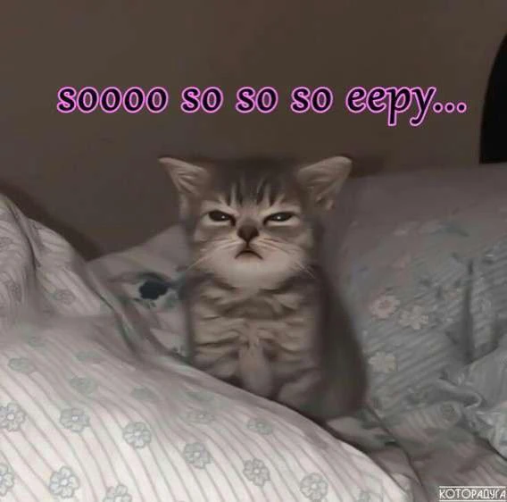 WHY HIM SO EEPY | Fandom