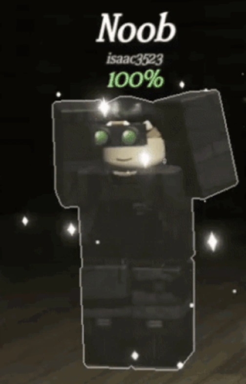 Can someone who knows how to edit add this to noob skins | Fandom