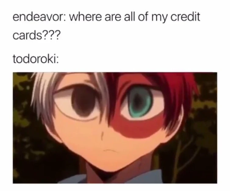 Shoto Todoroki memes | Fandom