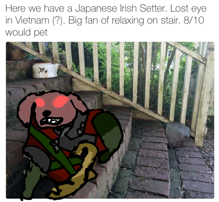 Rate mah dog | Fandom