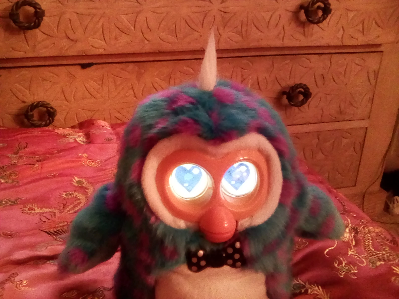 Hibou :) | Fandom