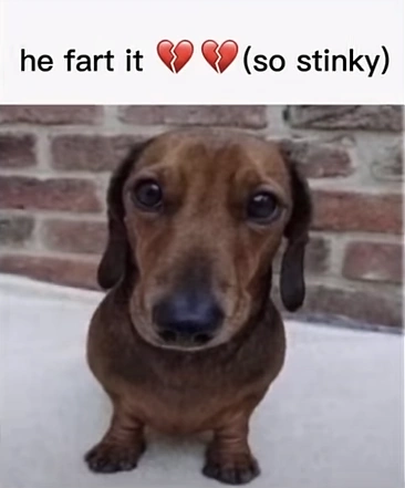 Me fr when exposure to gore at a young age helps grow my gore drawing ...