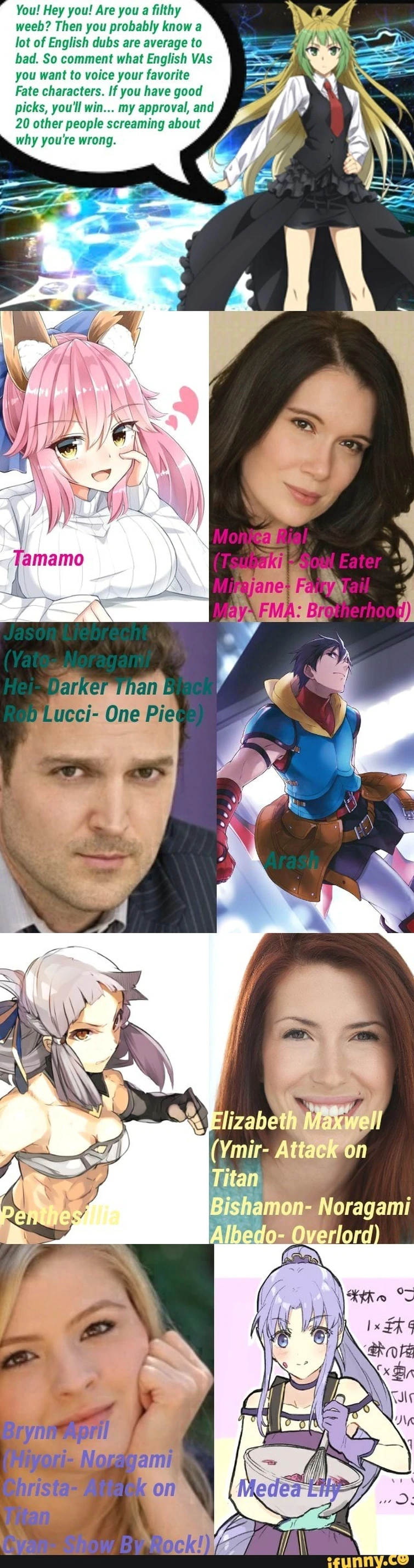 If all FGO Characters and Servants gets their English Dub | Fandom