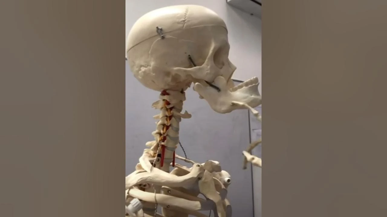 You'll never guessed what happened | Fandom