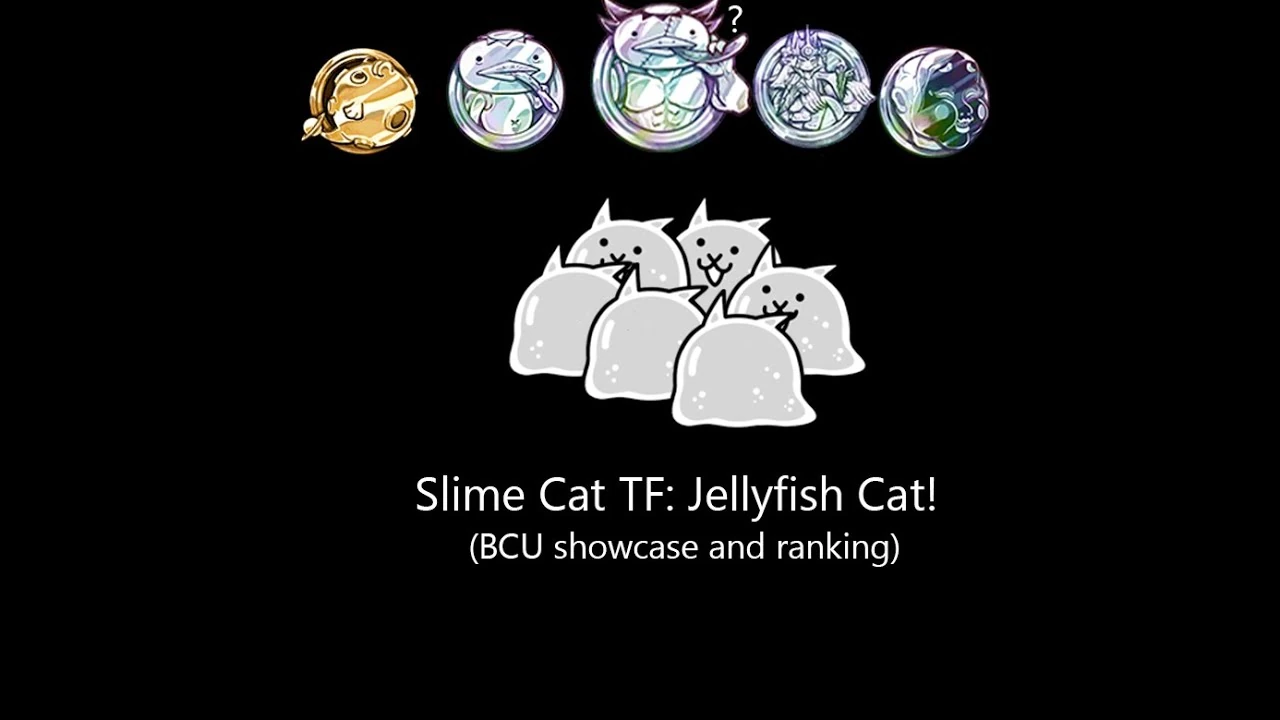 funny slime cat showcase | Fandom
